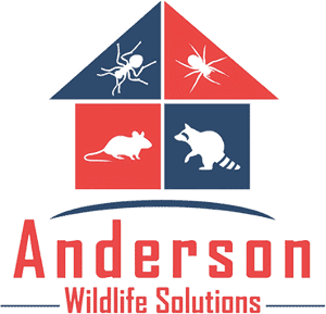 Mouse Control in Stafford County, KS | Anderson Wildlife Solutions